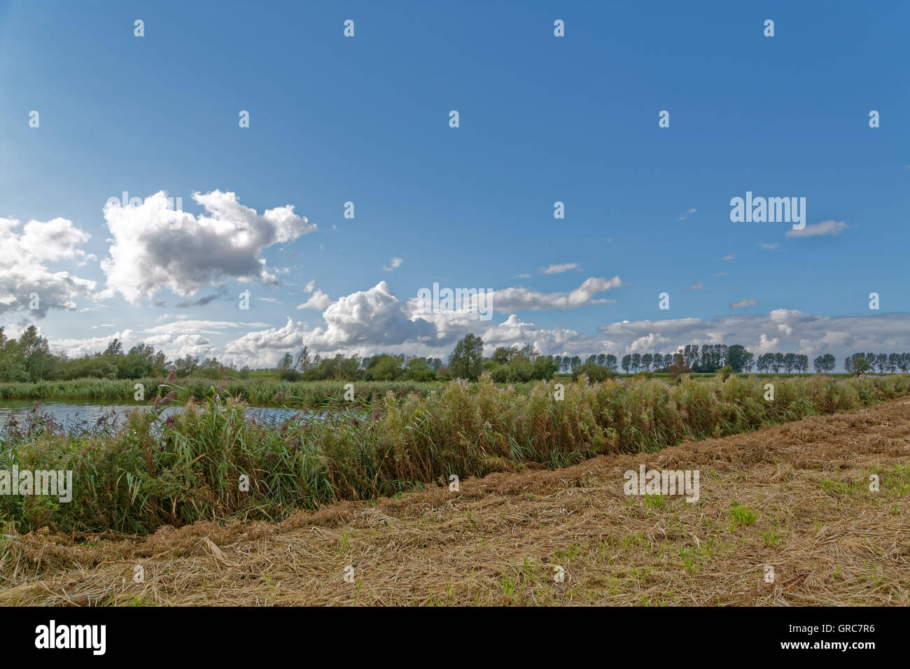 East saxony nature hi-res stock photography and images - Alamy