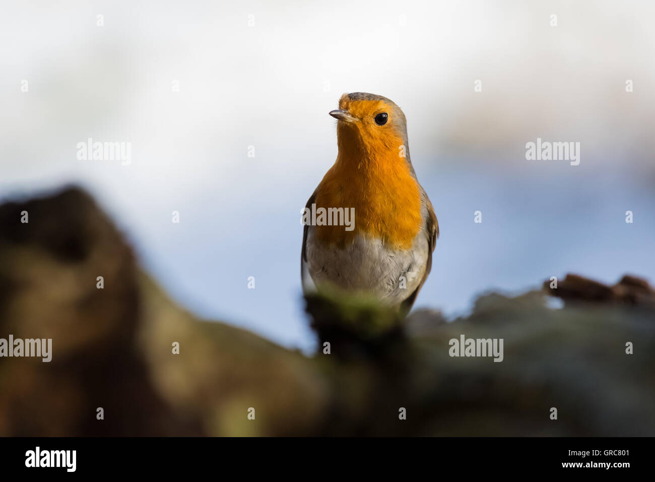 Live proud hi-res stock photography and images - Alamy