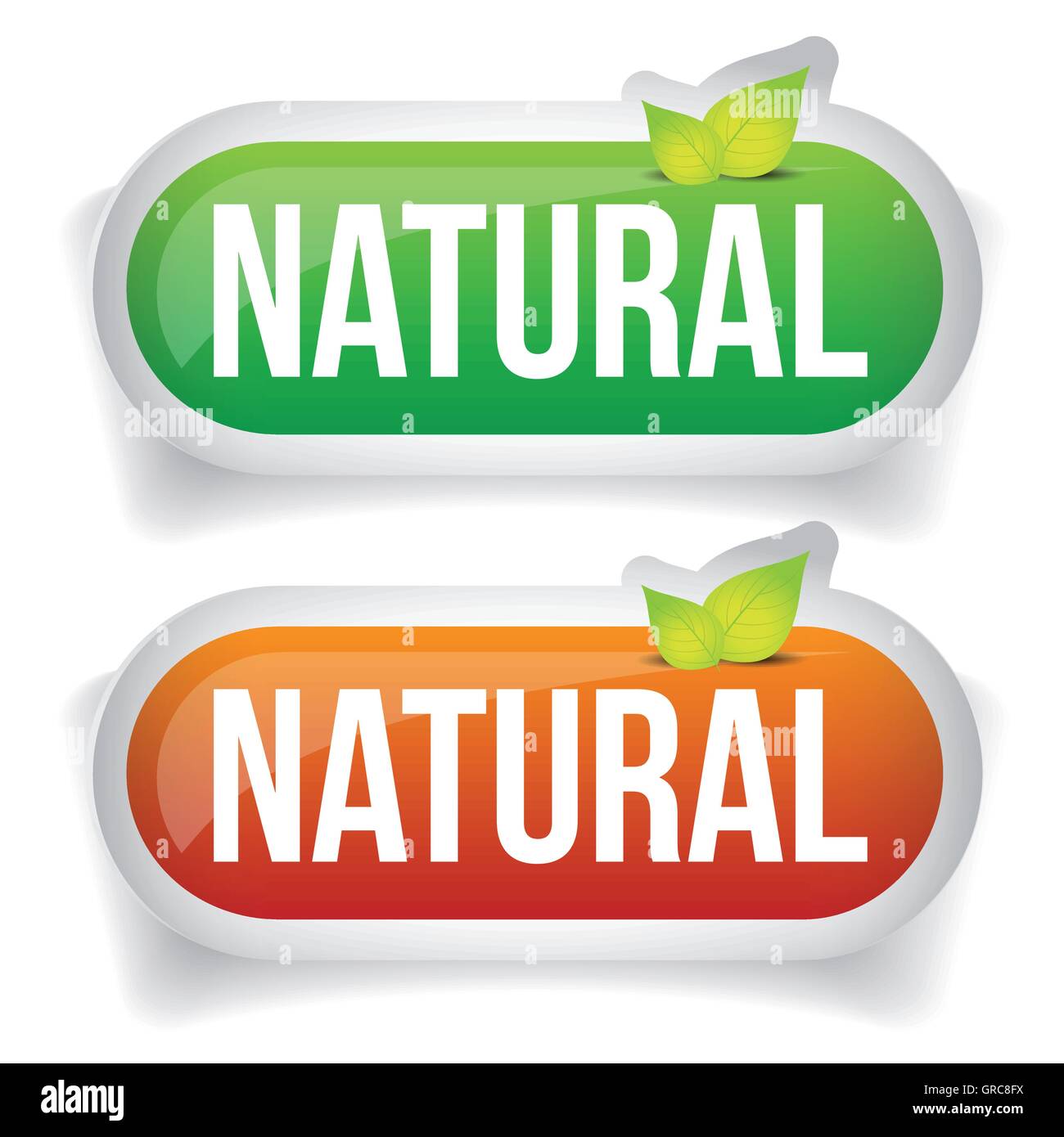 Natural Button green with leaf Stock Vector Image & Art - Alamy