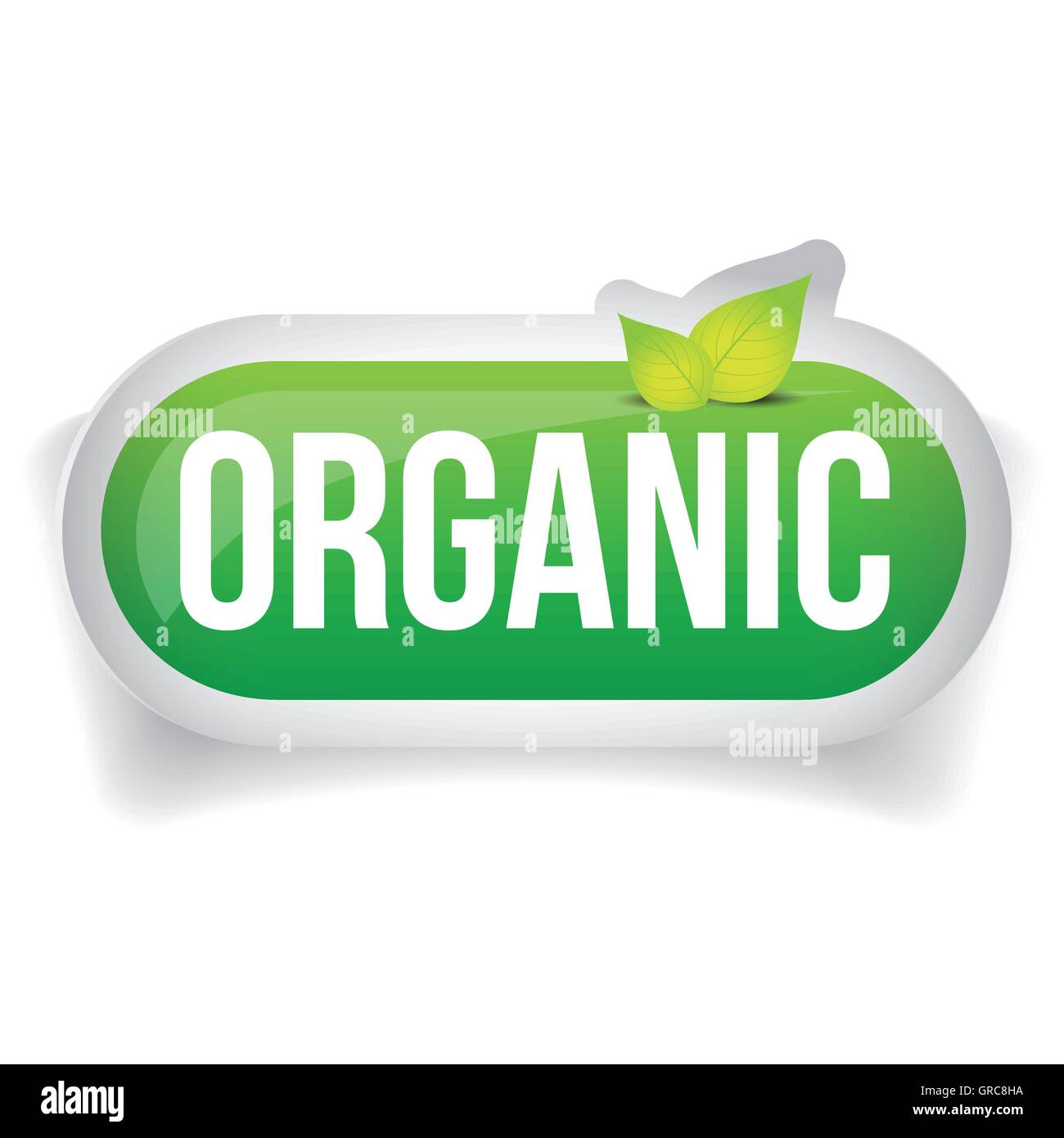 Natural button vector with leaves Stock Vector Image & Art - Alamy