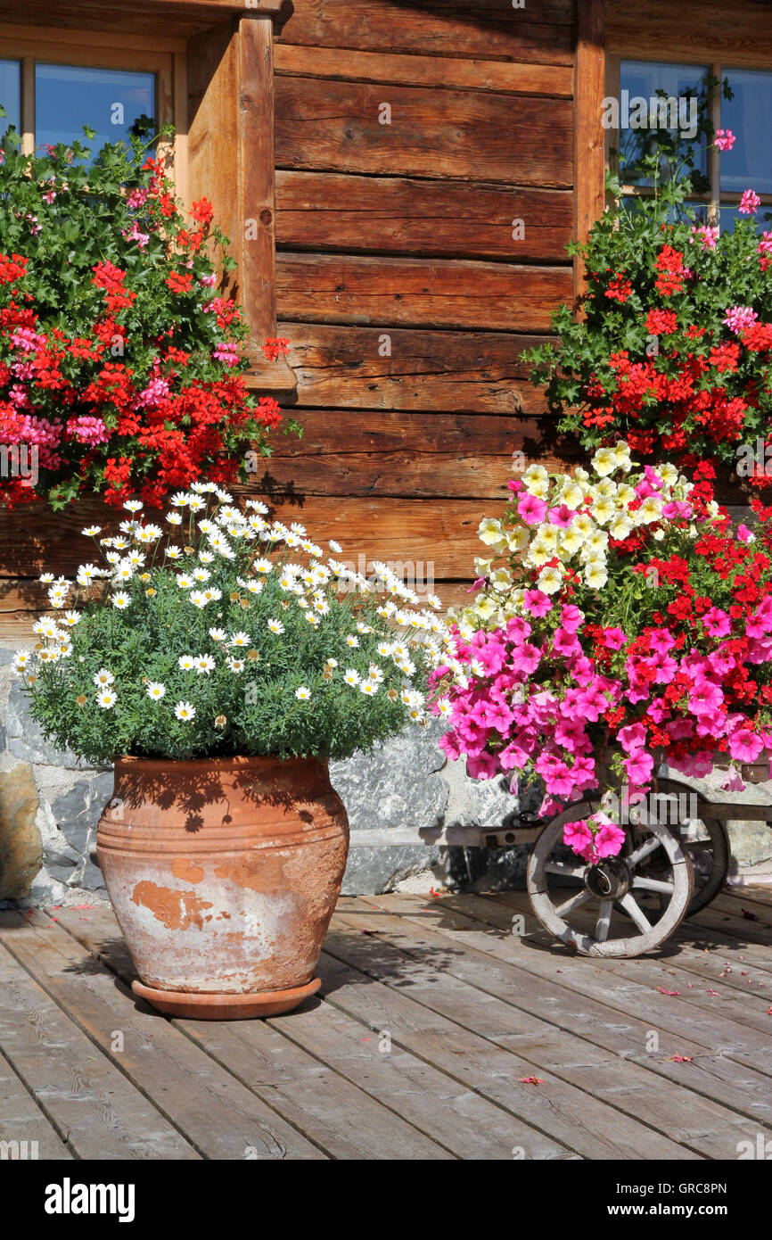 Decoration of floral arrangements hi-res stock photography and images ...