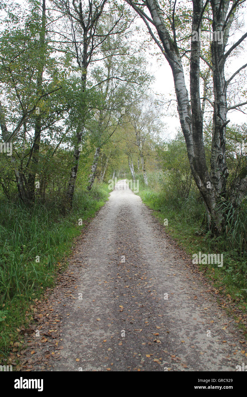 Tortuous Path High Resolution Stock Photography and Images - Alamy