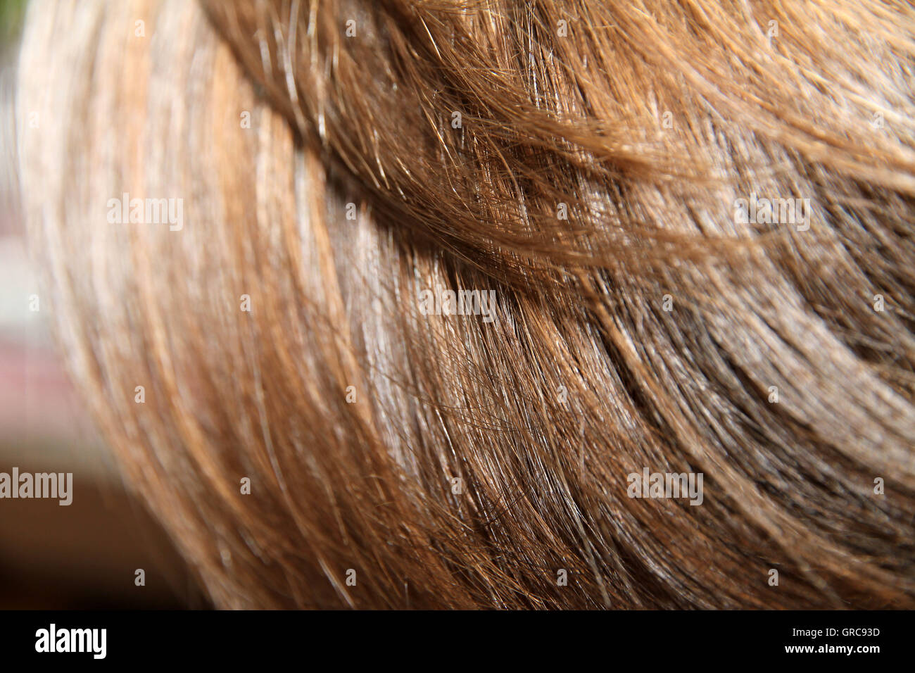 Human hairs hi-res stock photography and images - Alamy