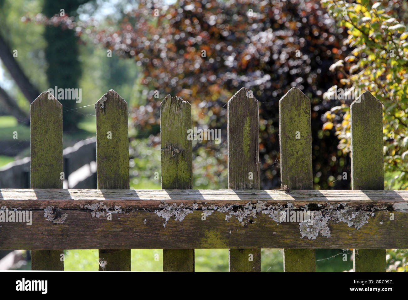 Demarcation fence hi-res stock photography and images - Alamy