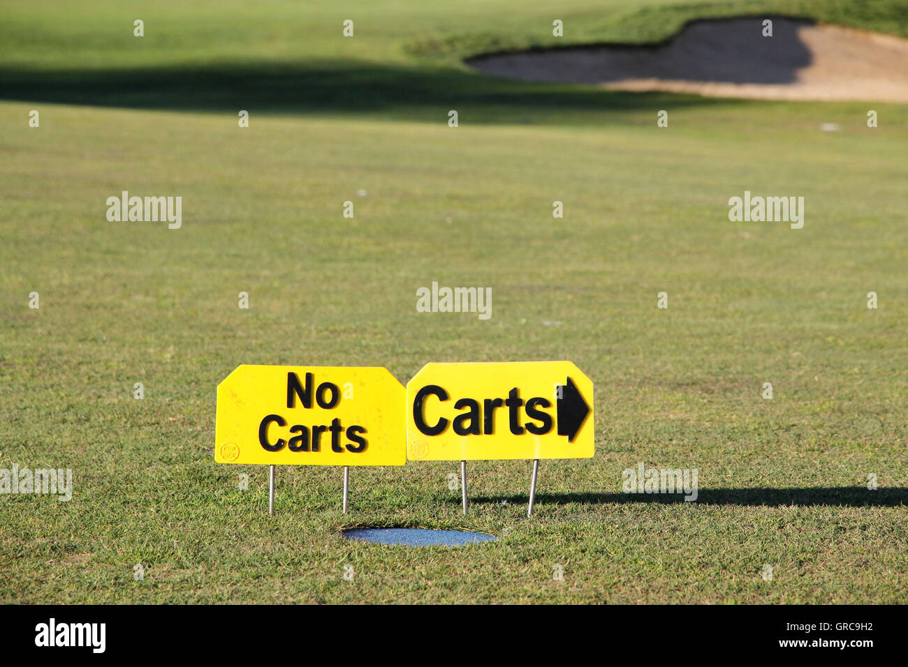 No Golf