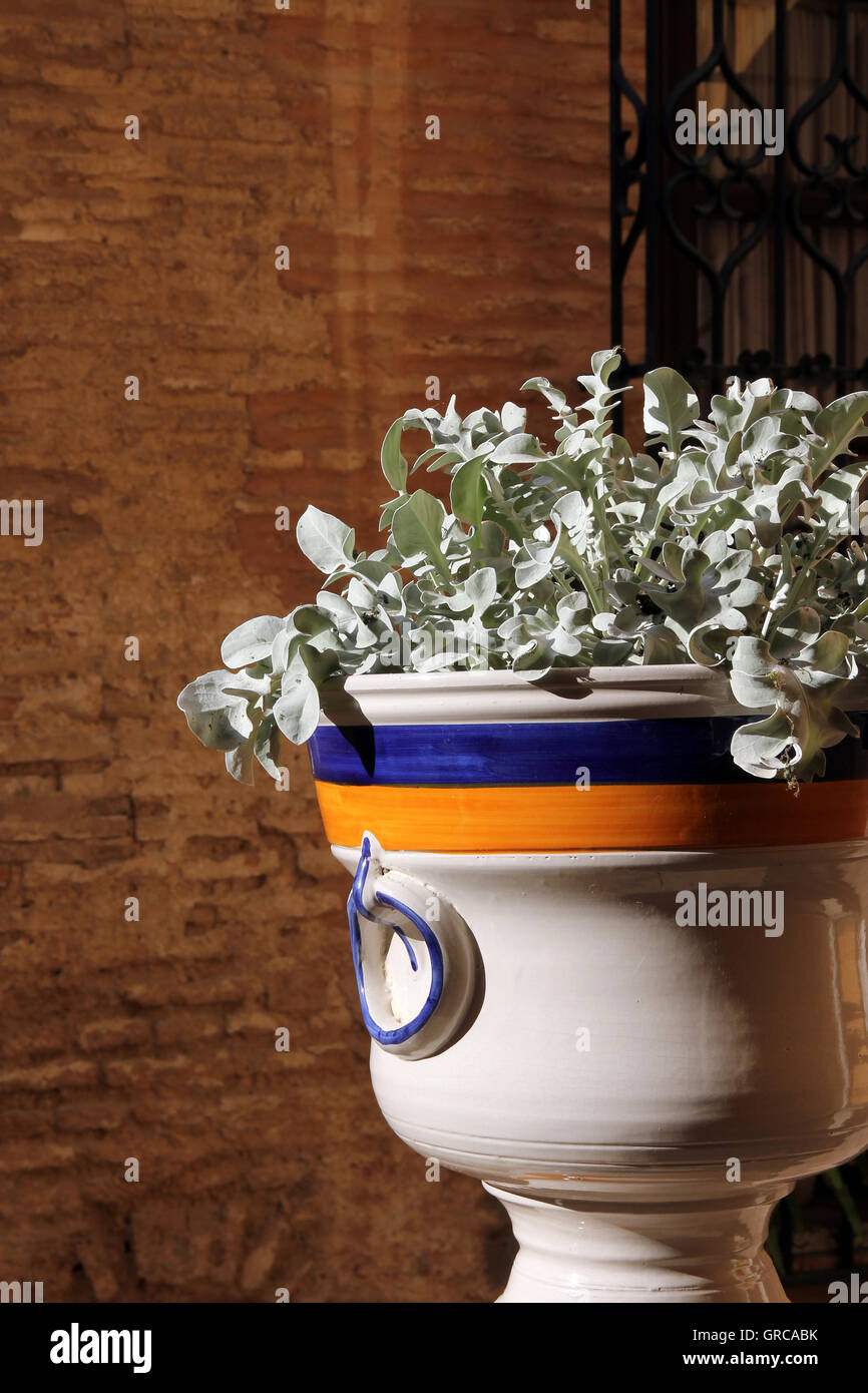 Royal pot detail hi-res stock photography and images - Alamy