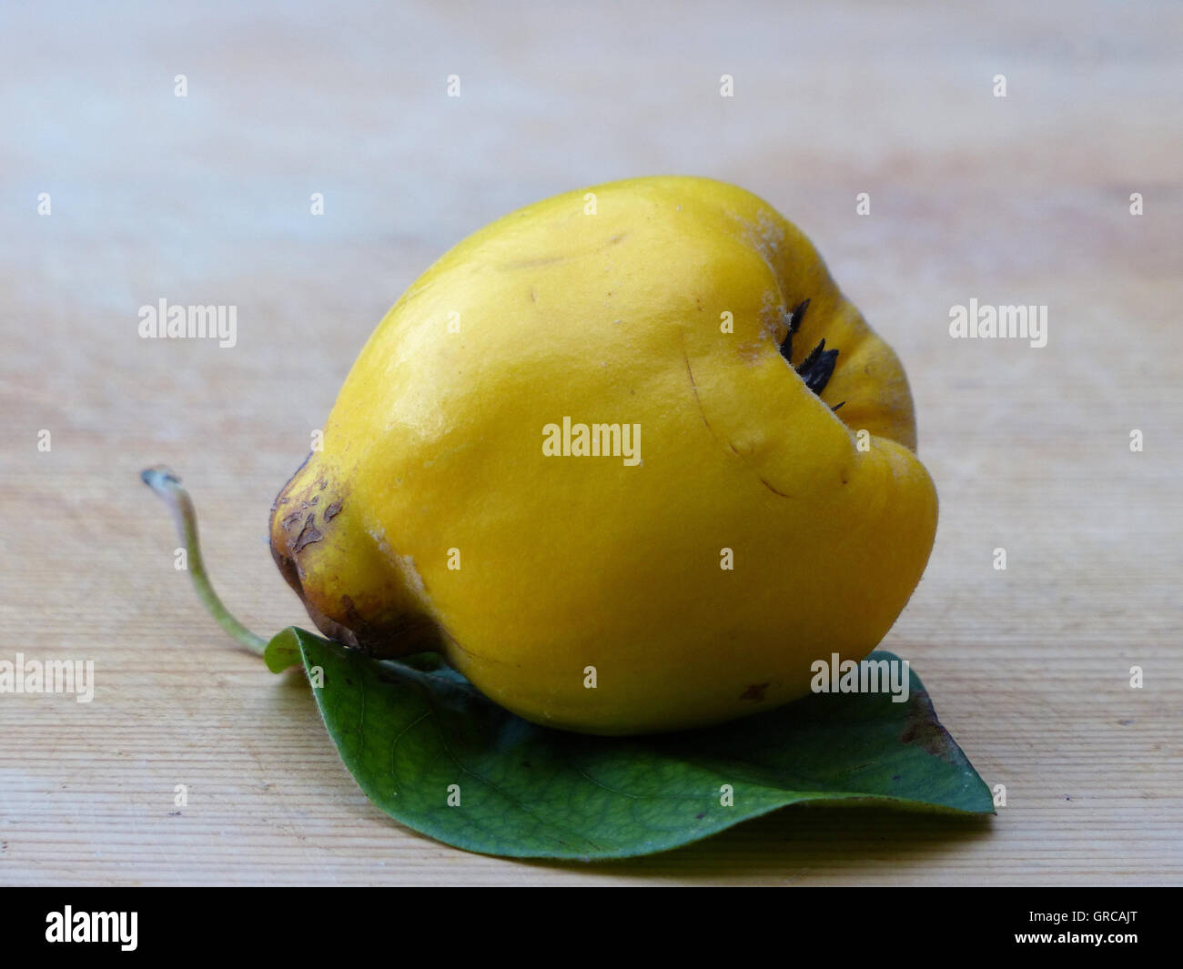 Ripe Quince Is On A Quince Leaf Stock Photo - Alamy