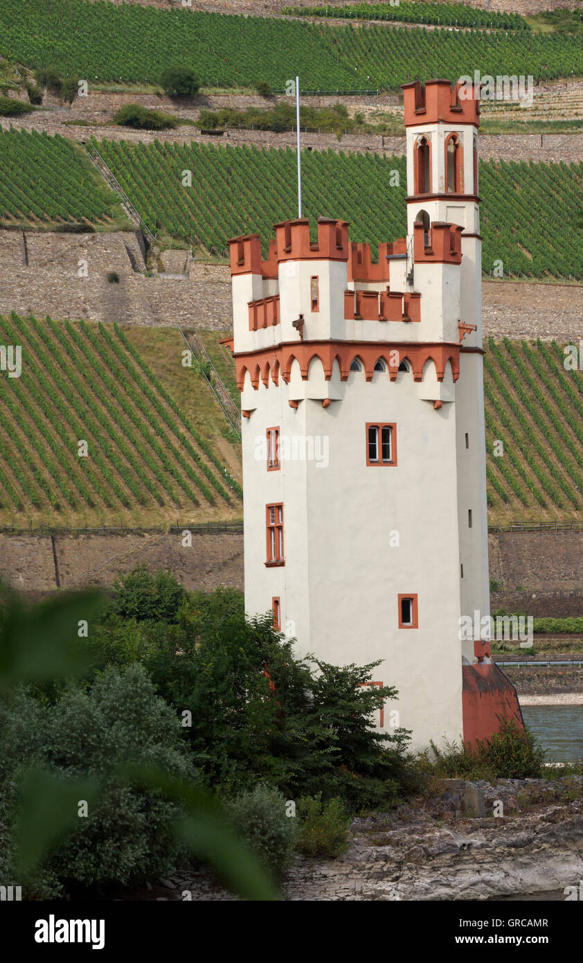 Mice tower in river rhine near bingen hi-res stock photography and ...