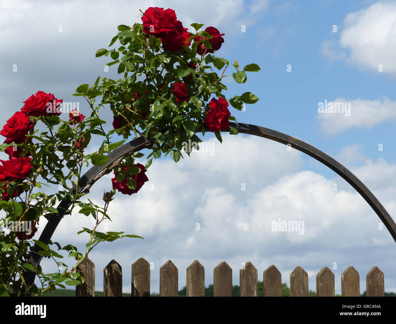 Blooms arch hi-res stock photography and images - Alamy
