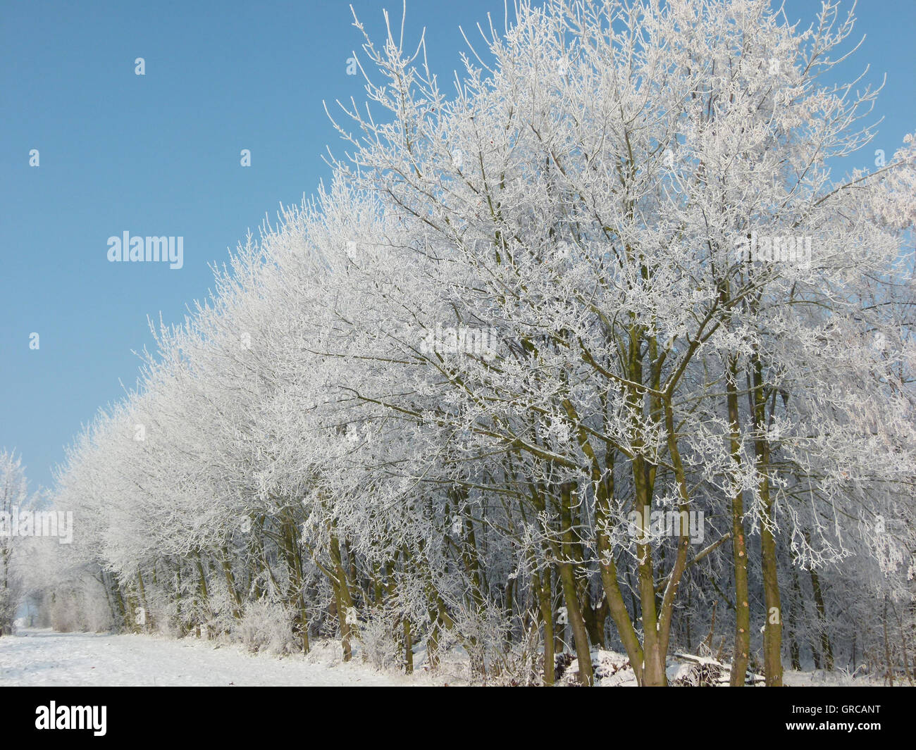 Edge avenue hi-res stock photography and images - Alamy