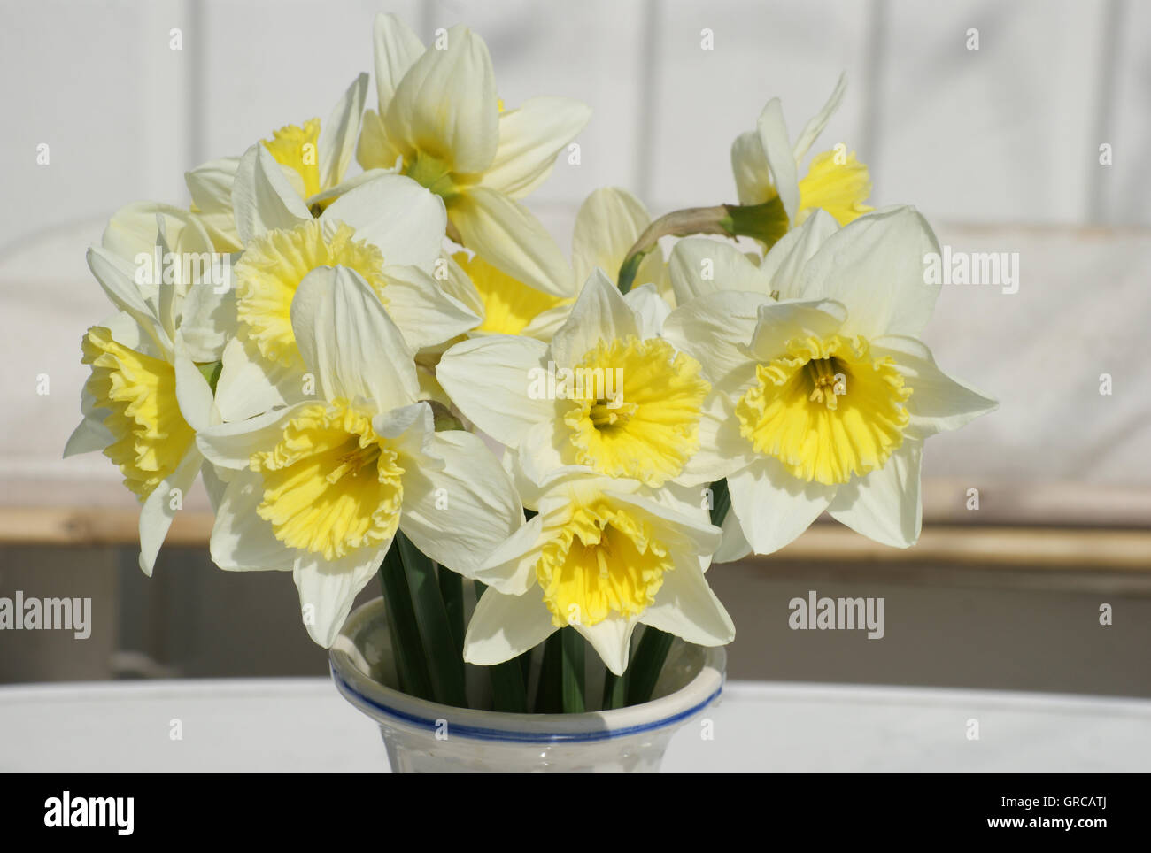 Daffodils in vase hi-res stock photography and images - Alamy