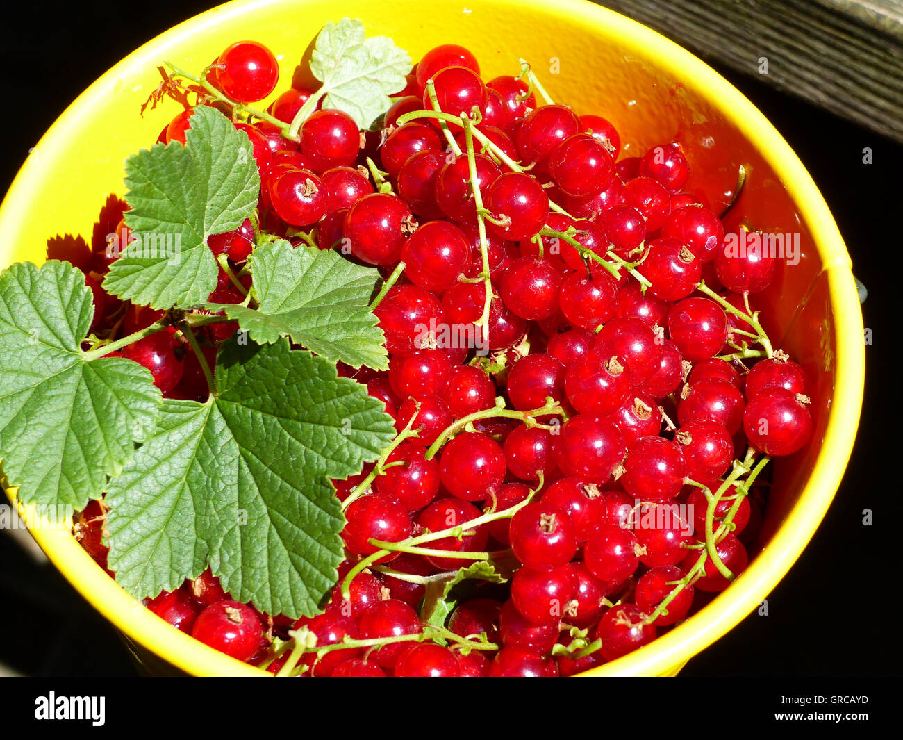 Pail yellow hi-res stock photography and images - Alamy