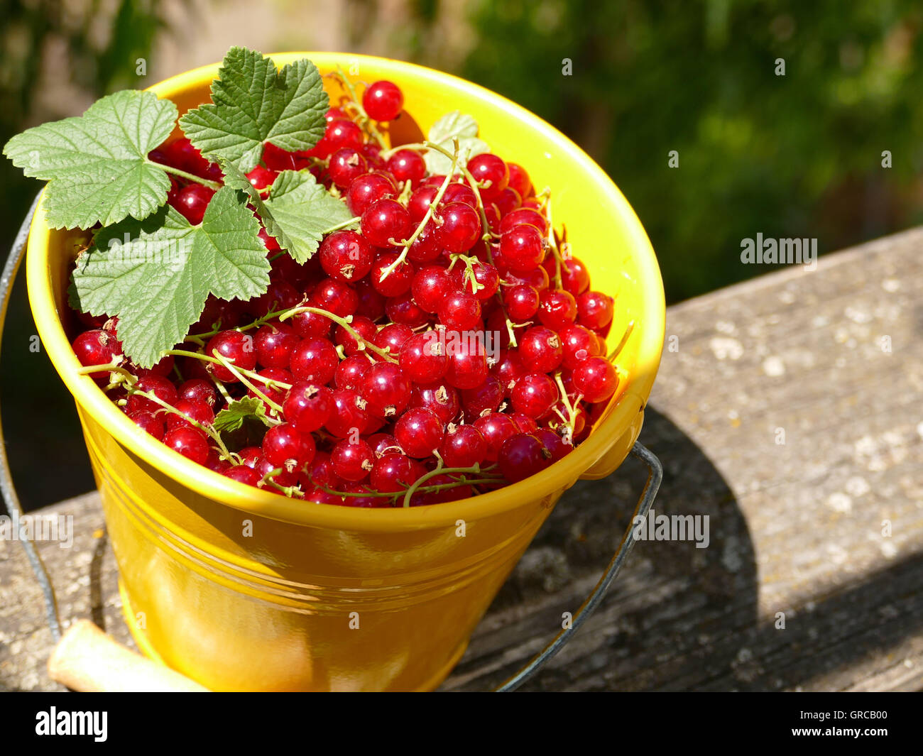 Pail full of hi-res stock photography and images - Alamy