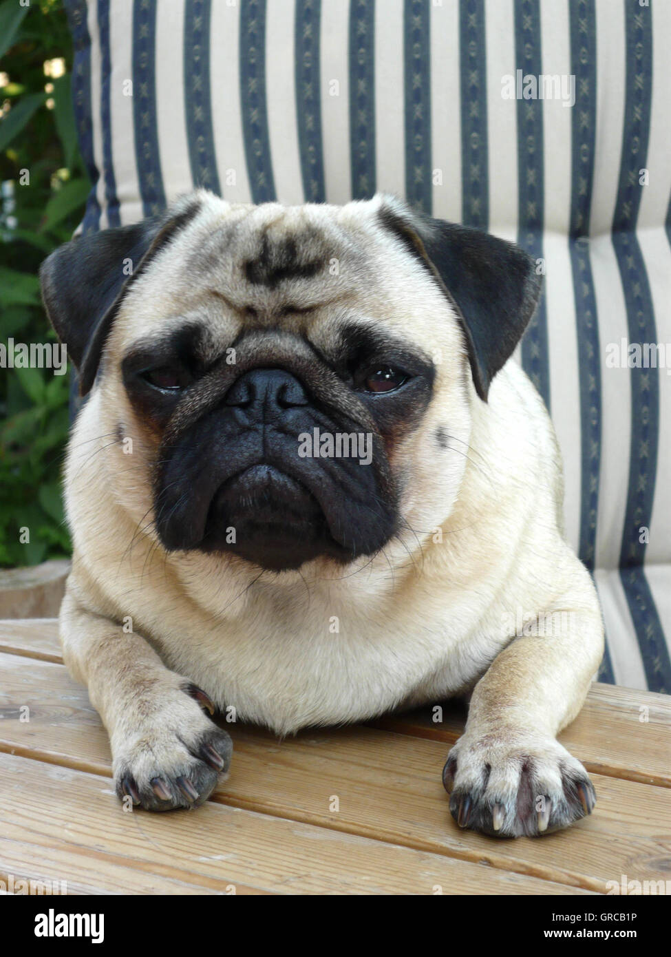 Boss items hi-res stock photography and images - Alamy