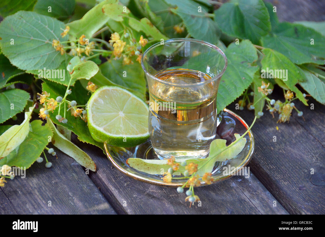 Lime Blossom Tea Stock Photo - Alamy