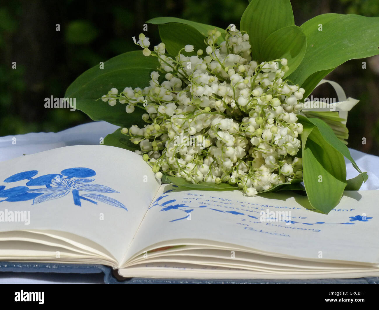 Poetry Album And Nostalgia Stock Photo - Alamy