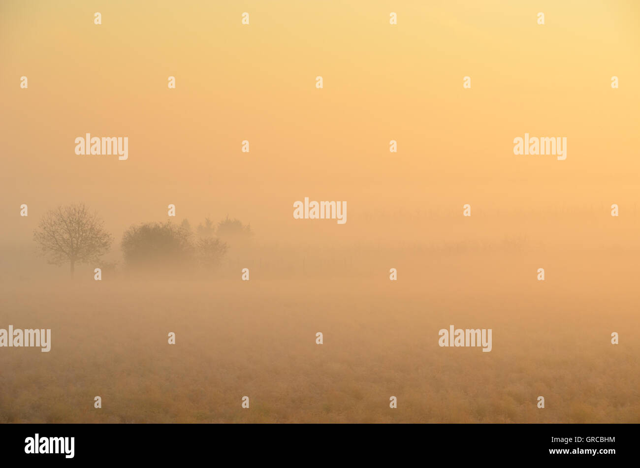 Hazy morning sun hi-res stock photography and images - Alamy