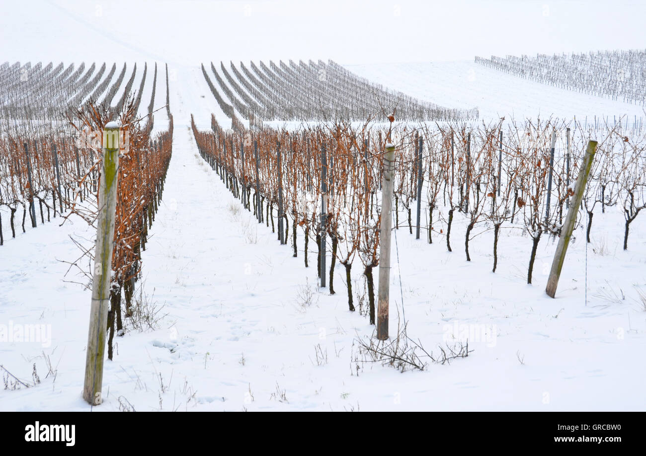 Wintry landscapes hi-res stock photography and images - Alamy