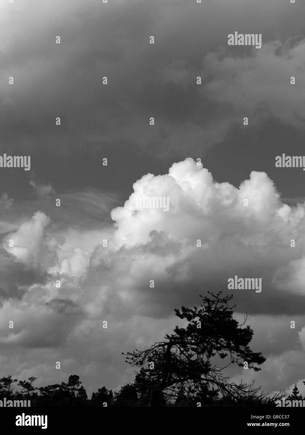 In the black fantastic Black and White Stock Photos & Images - Alamy