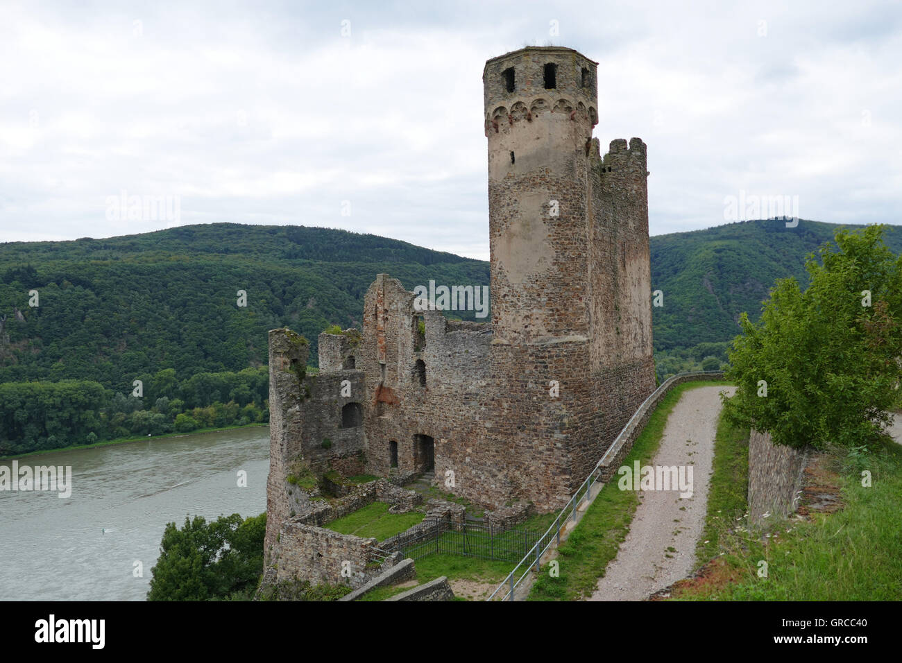 Castle Ruin Ehrenfels Near Rudesheim, River Rhine, Hesse, Germany ...