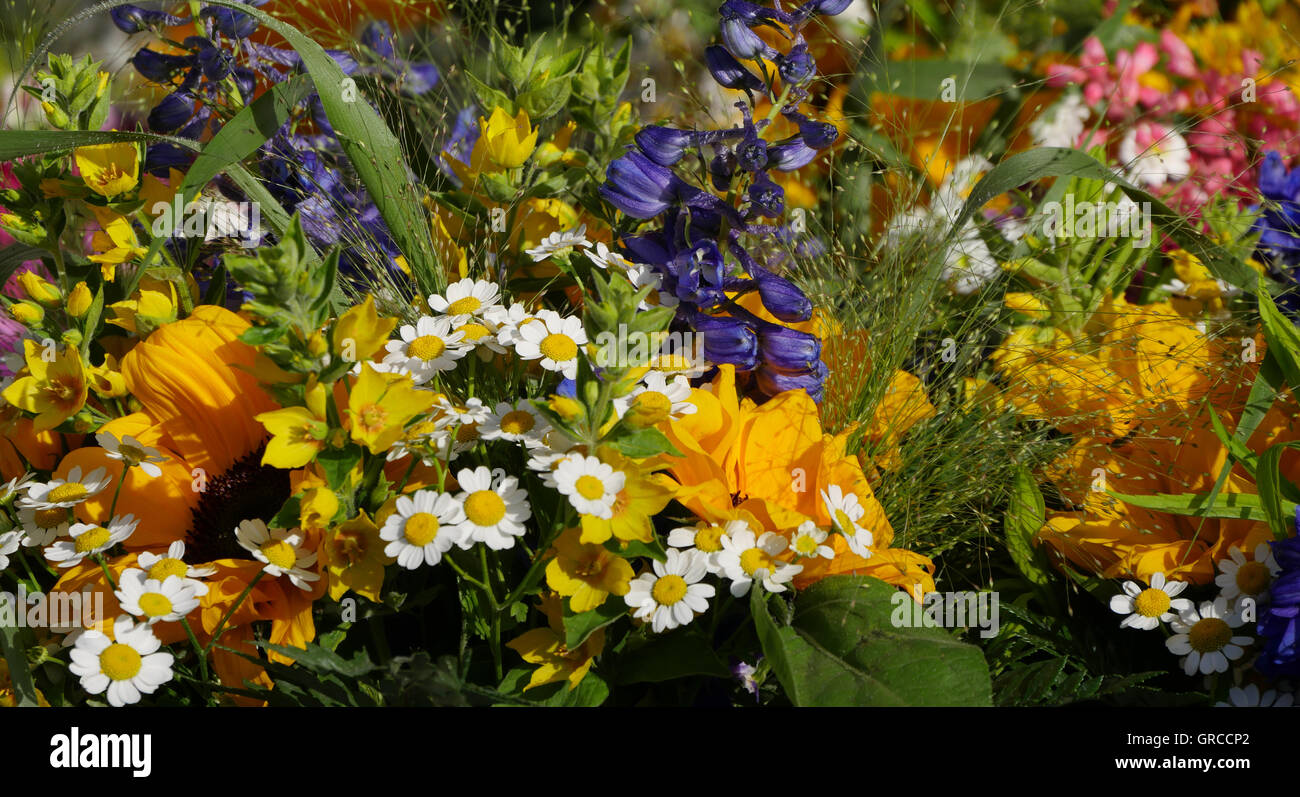 Blooms bouquets hi-res stock photography and images - Alamy