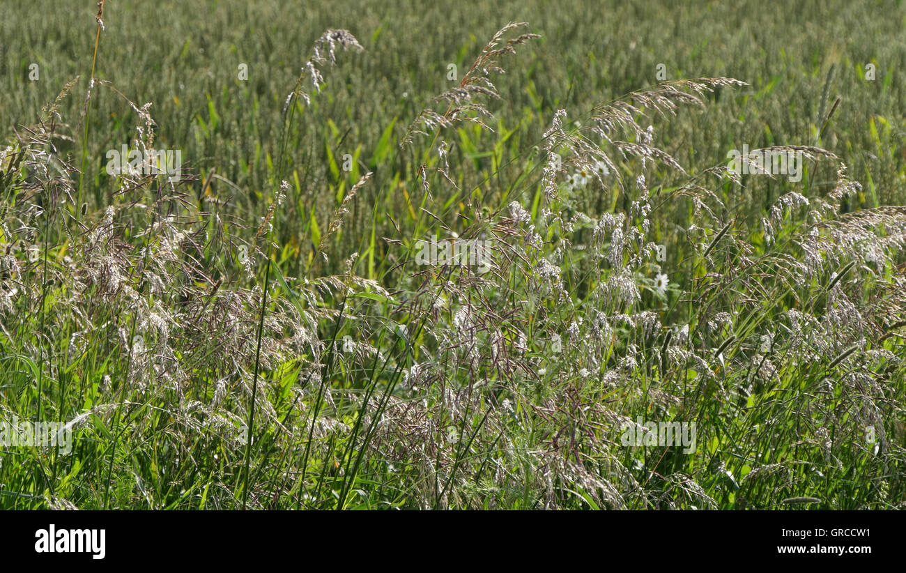 Billowing hi-res stock photography and images - Alamy