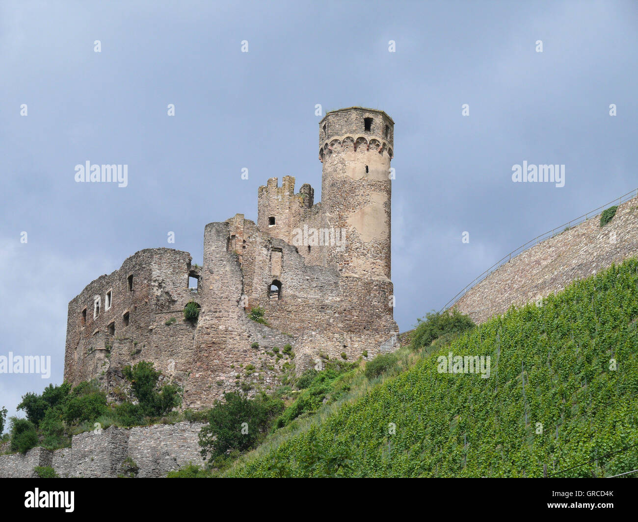Rheingau castle hi-res stock photography and images - Alamy