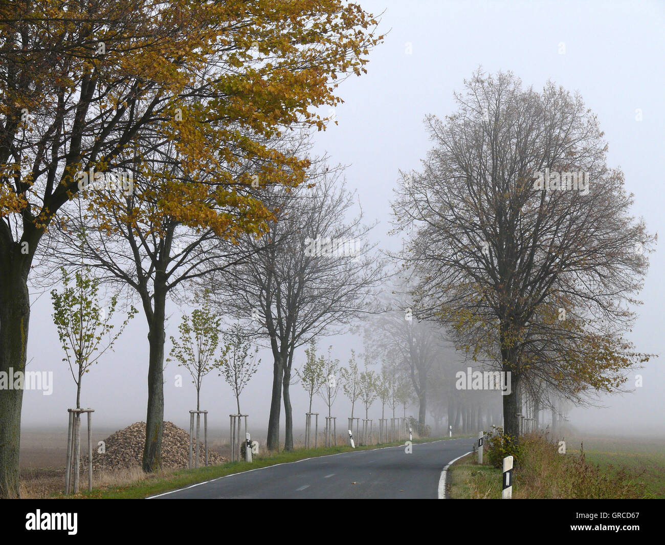November in the country hi-res stock photography and images - Alamy