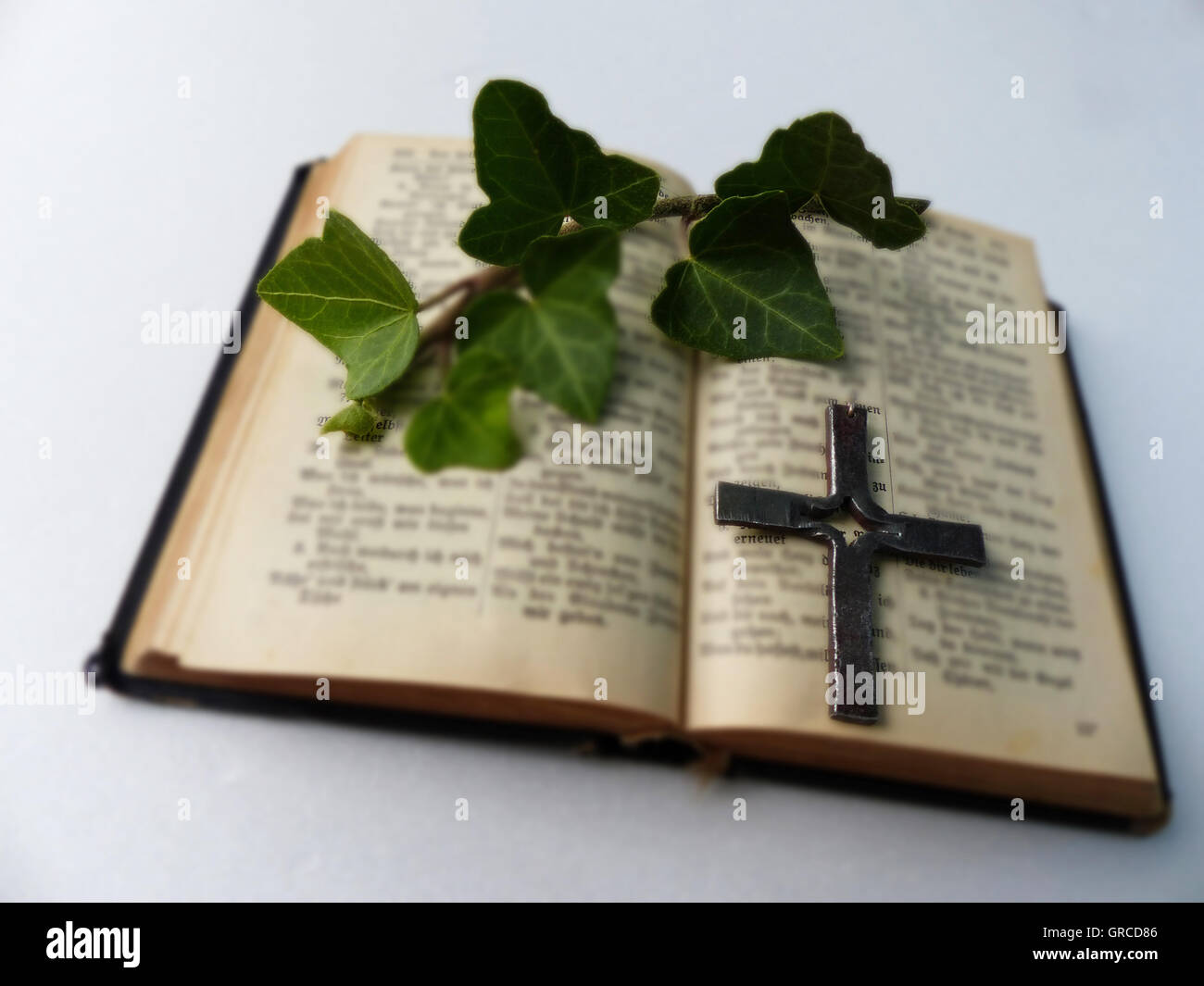 The Bible And Cross And Ivy Twig Stock Photo - Alamy