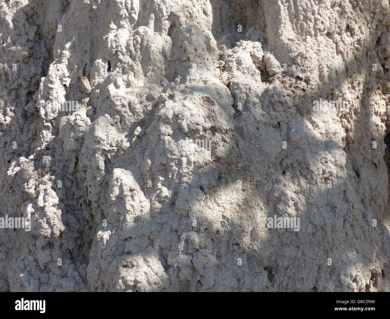 Structure Of A Termite Mound, Can Be Used As A Background Image Stock ...