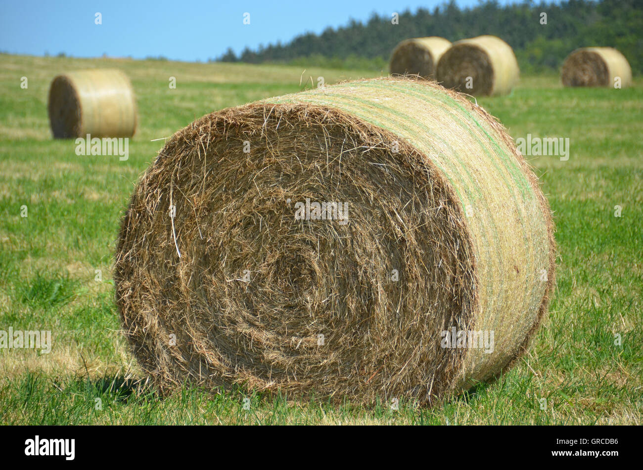 Pressed bales hi-res stock photography and images - Alamy
