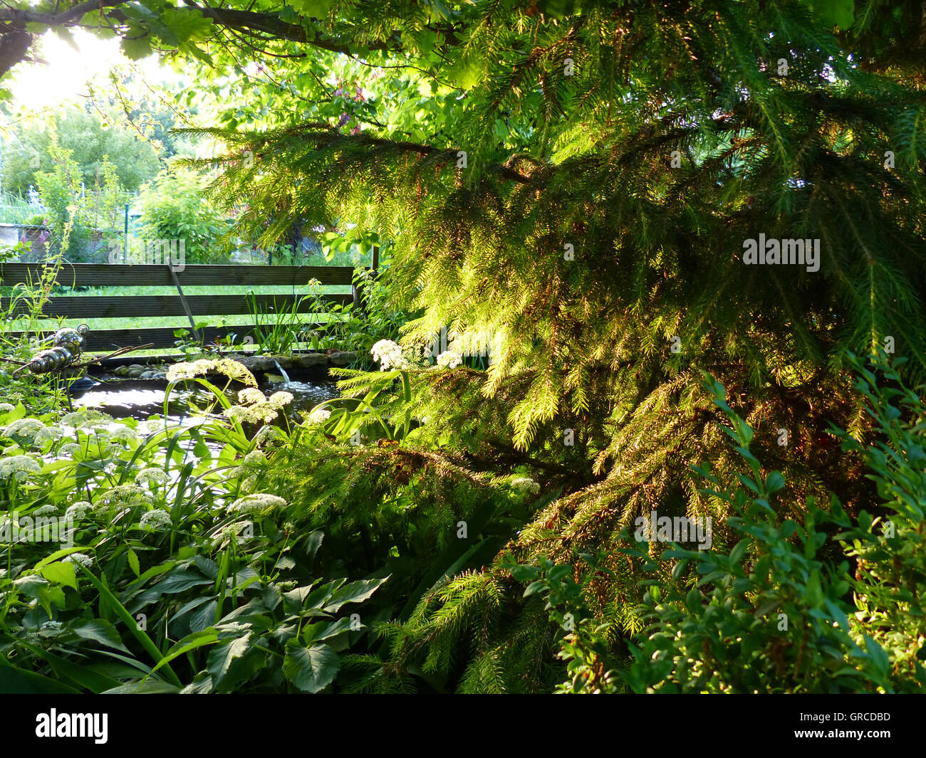 Idyllic scene hi-res stock photography and images - Alamy
