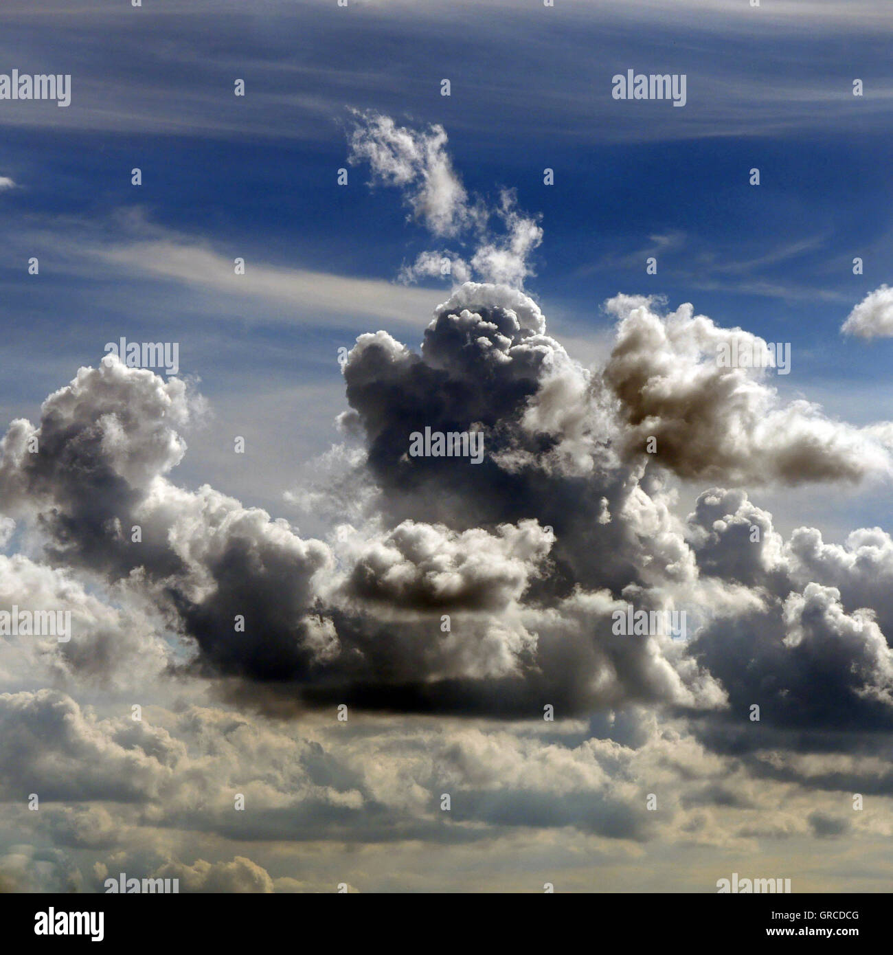 Clouds That Look Like Animals Stock Photo - Alamy