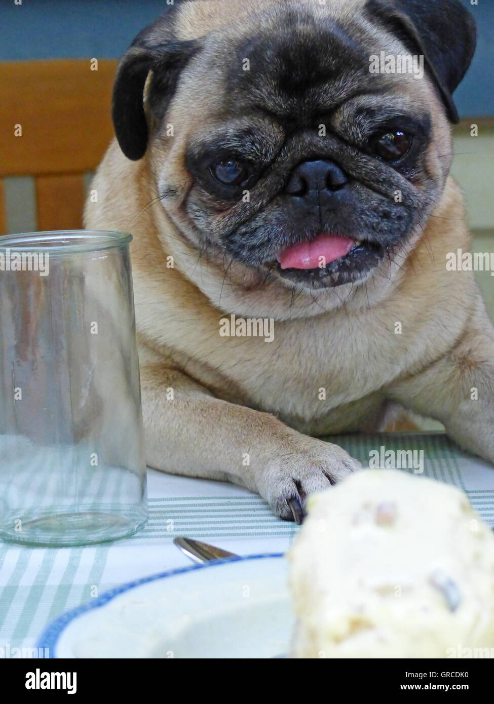Sitting nutrition hi-res stock photography and images - Alamy