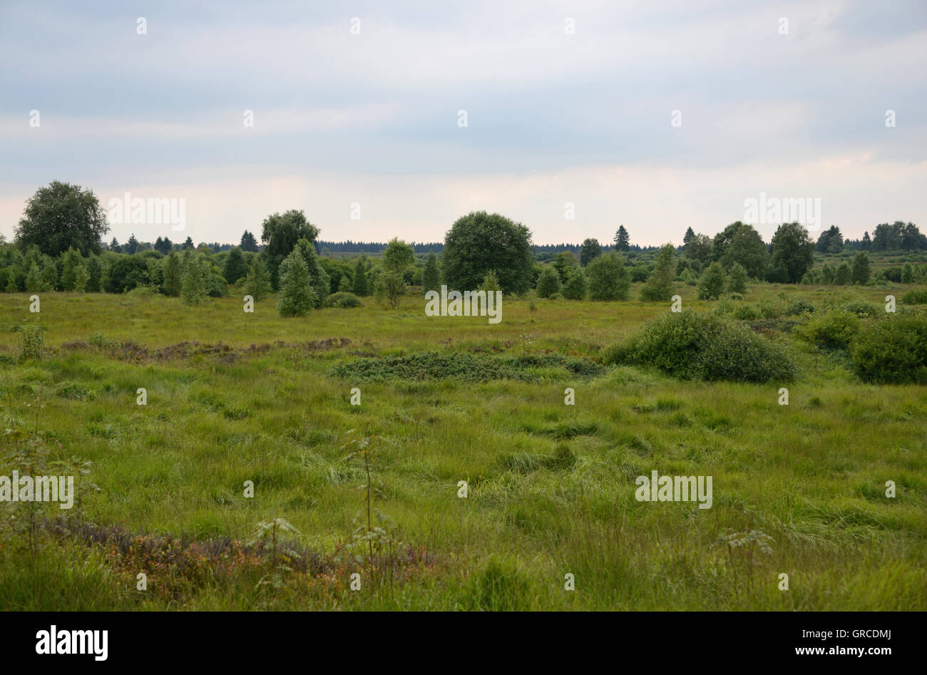 Belgium Germany Border High Resolution Stock Photography and Images - Alamy
