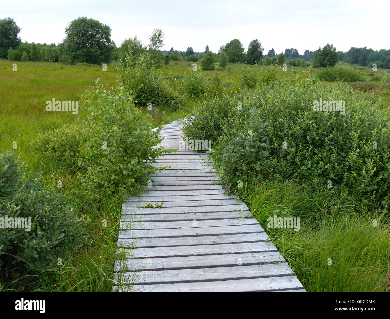 Safe border hi-res stock photography and images - Alamy