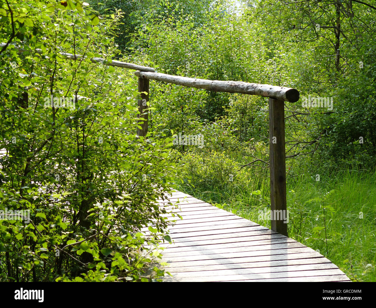 Safe border hi-res stock photography and images - Alamy