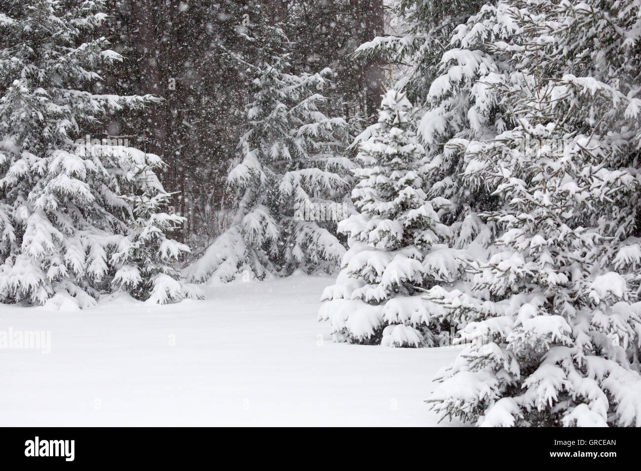 March snowing hi-res stock photography and images - Alamy
