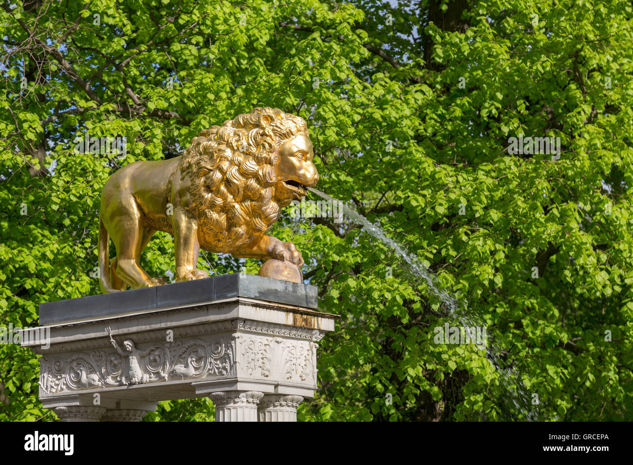 A Golden Lion Gargoyles On A Pedestal At The Fountain Stock Photo - Alamy