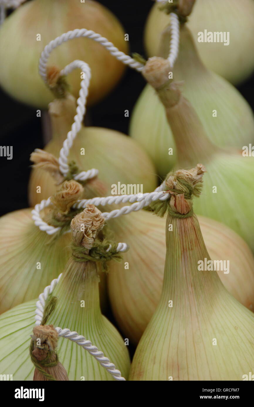 String of onions hi-res stock photography and images - Alamy