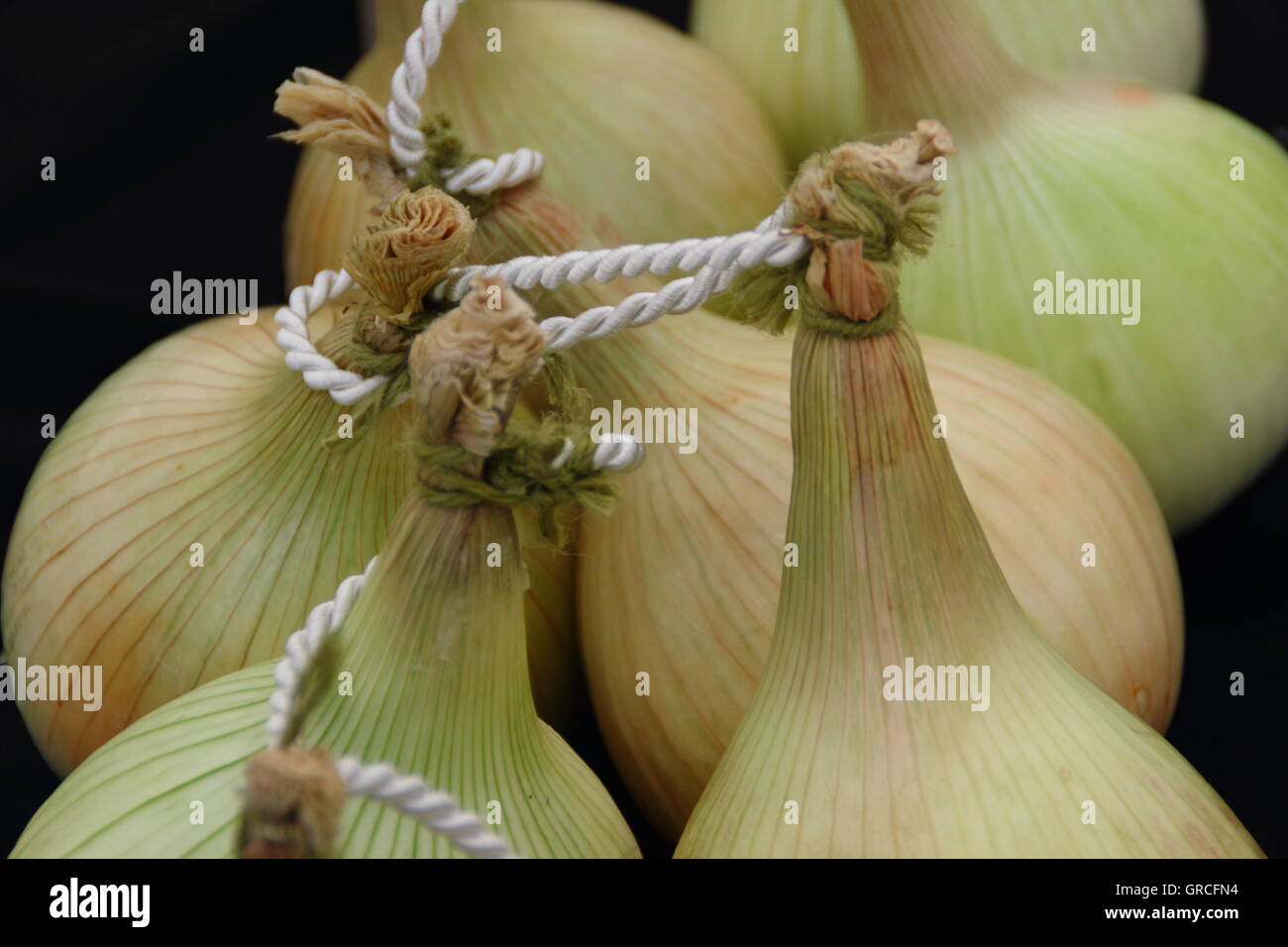 String of onions hi-res stock photography and images - Alamy