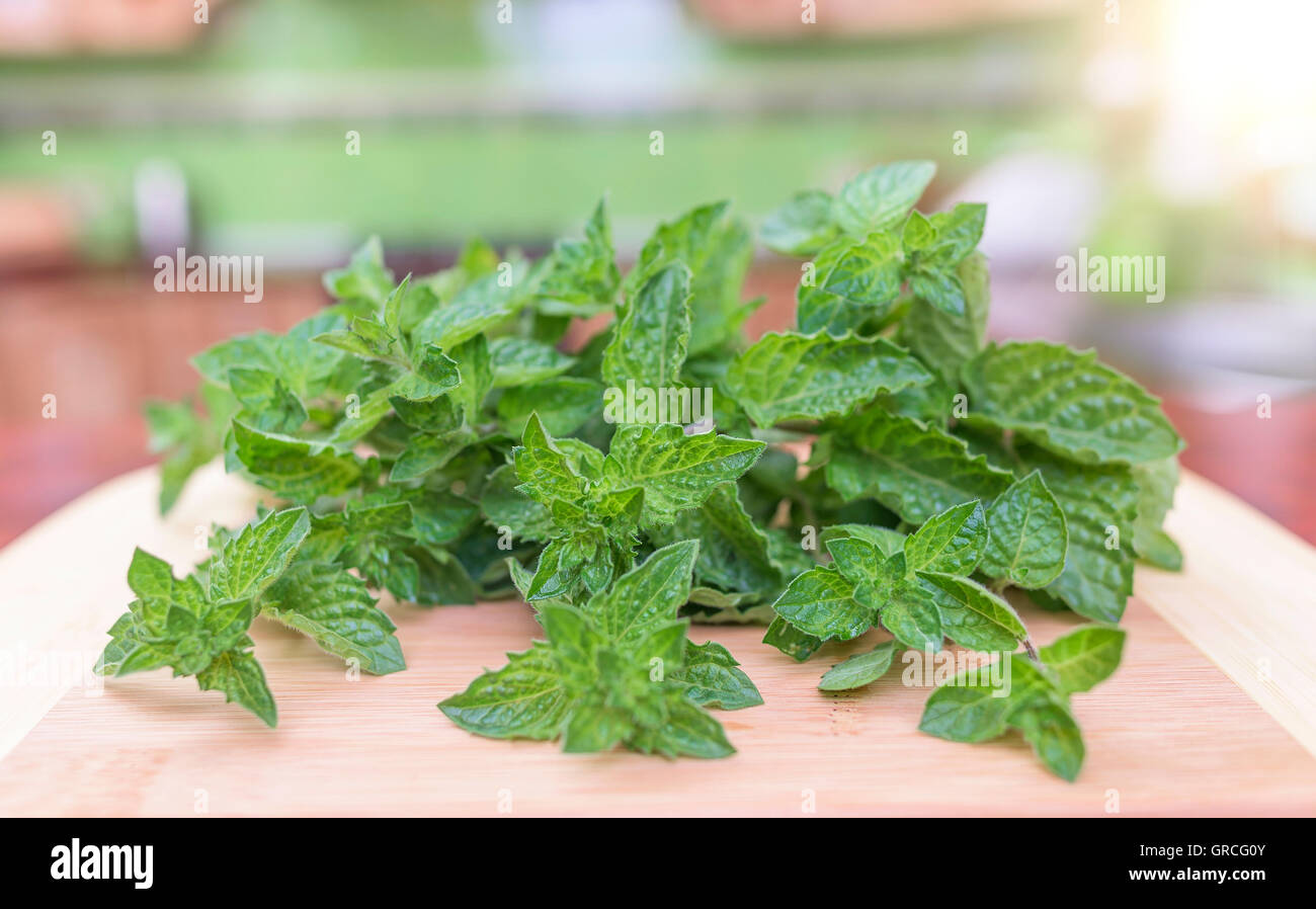 Mint on the board for cutting in the kitchen Stock Photo - Alamy