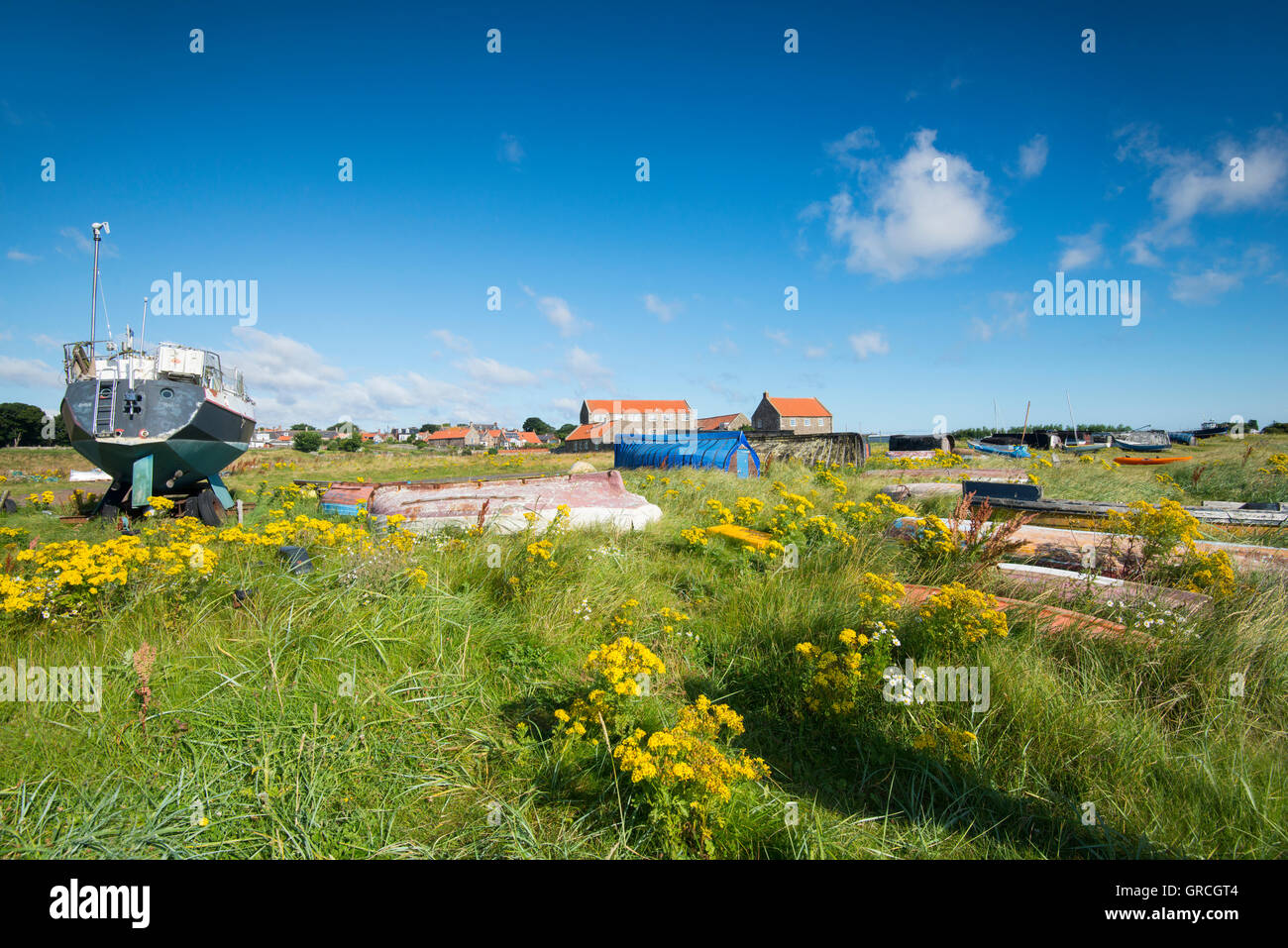 Holy island beach hi-res stock photography and images - Alamy
