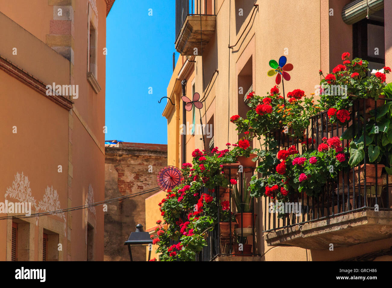 Bright flowers and plants on balconies in the old town of Tarragona ...
