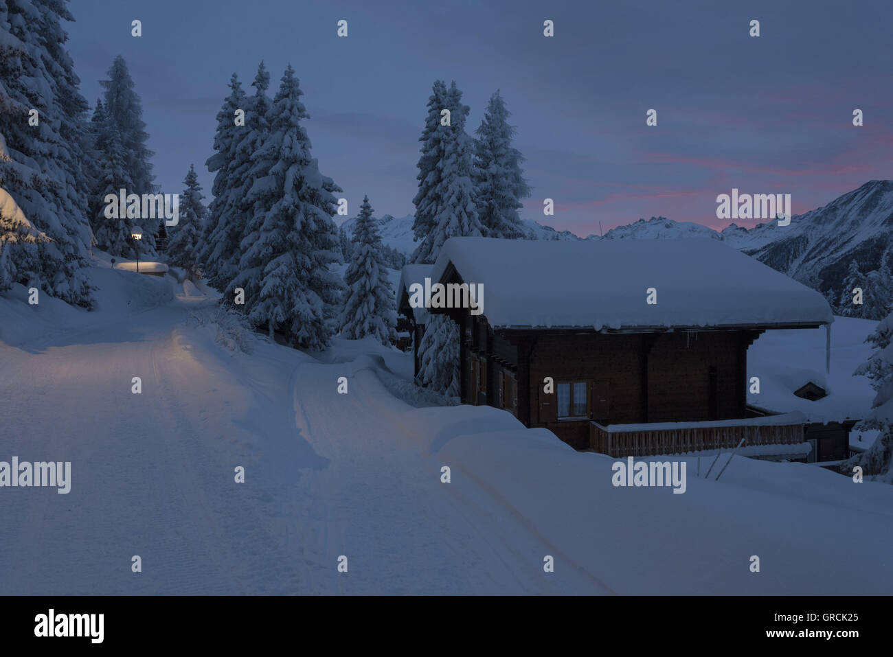 White fir trees landscape hi-res stock photography and images - Alamy