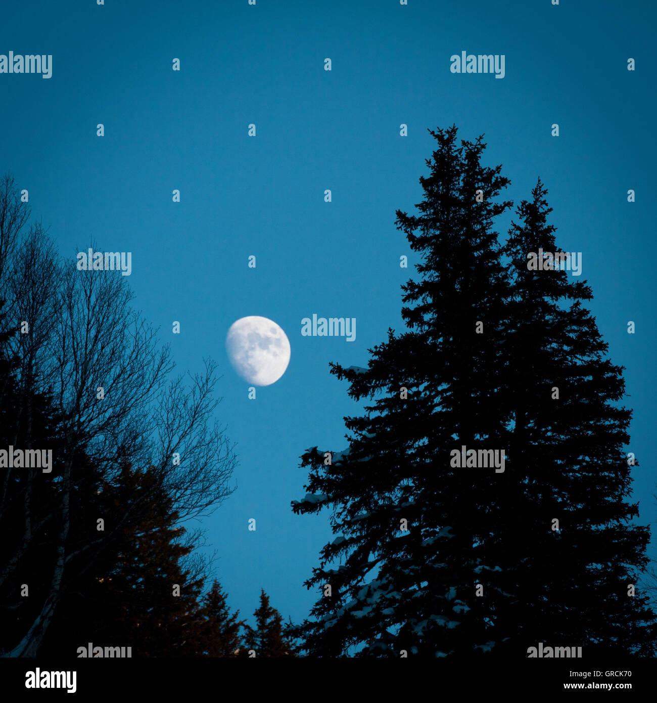 Rising Moon In The Night Sky Stock Photo - Alamy