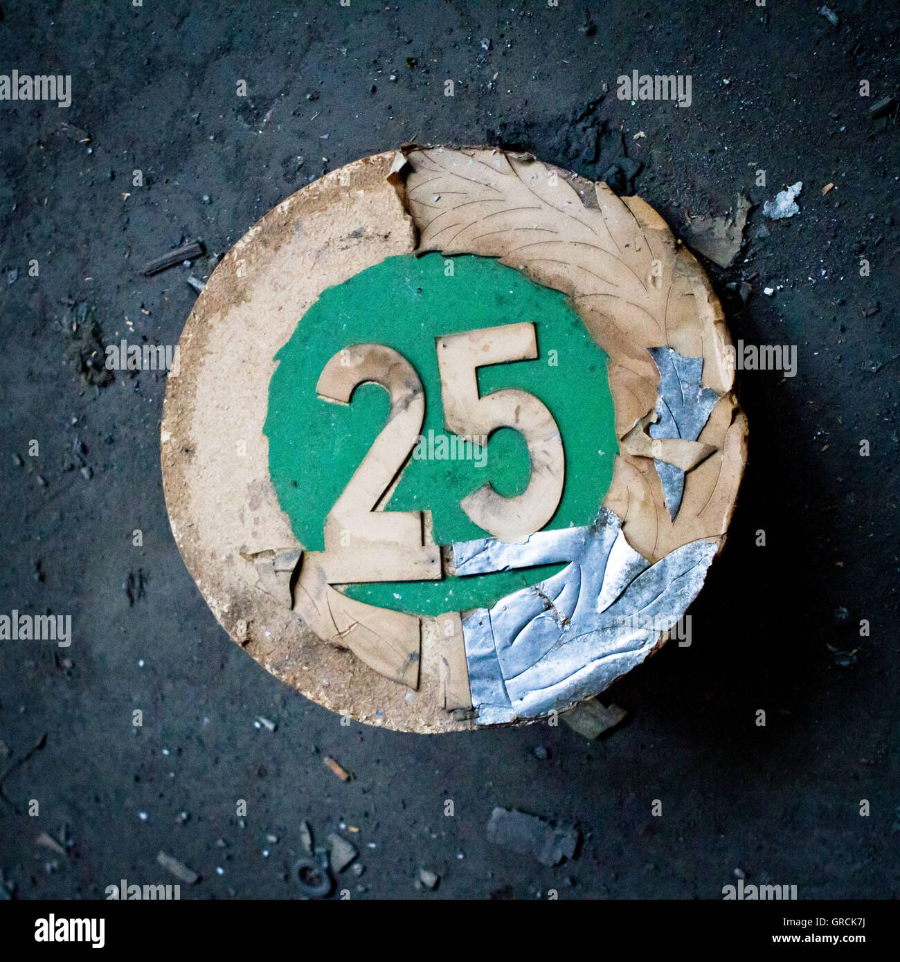 25 Years Of Service Award