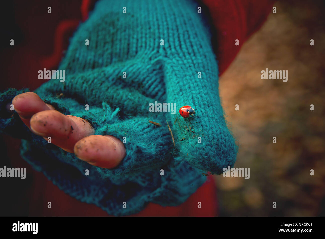 Nation of animal lovers hi-res stock photography and images - Alamy