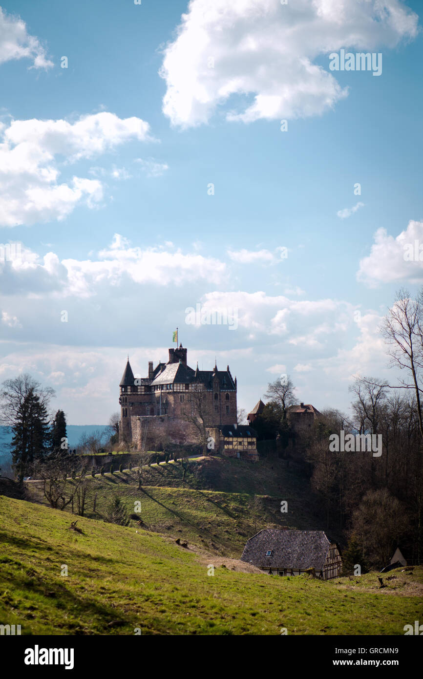 Castle in forests hi-res stock photography and images - Alamy
