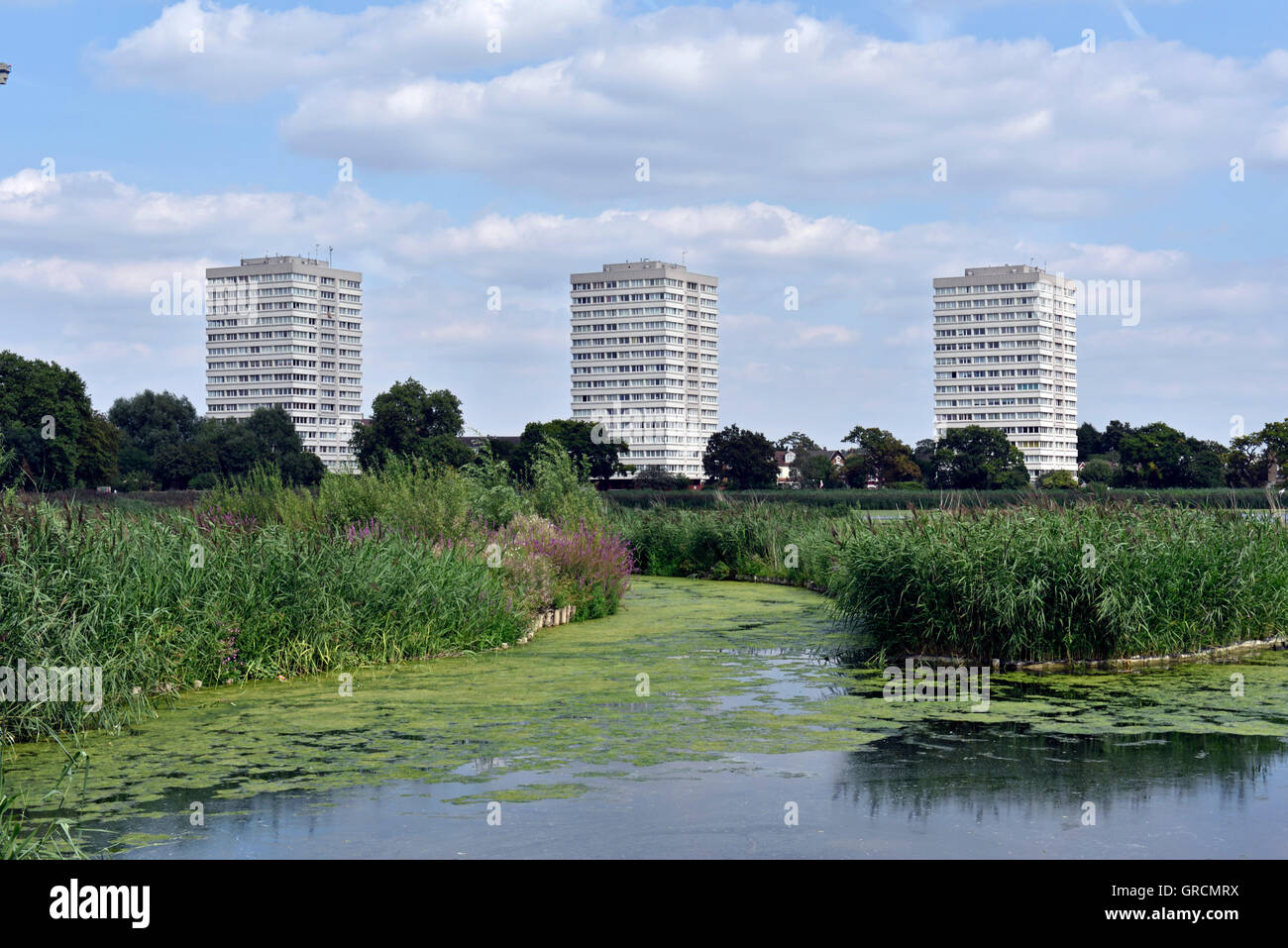 Tower Blocks, Woodberry Wetlands Stoke Newington, London Borough of ...